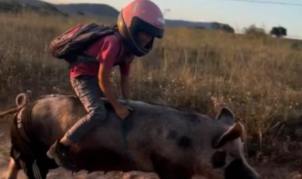 WHO DO YOU THINK YOU ARE - LESTER PIG-GOTT? - Pig-Riding Farm Boy's ...