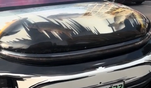CAR-P DESIGN - Vehicle Owner Converts His Bonnet Into Bizarre Water ...