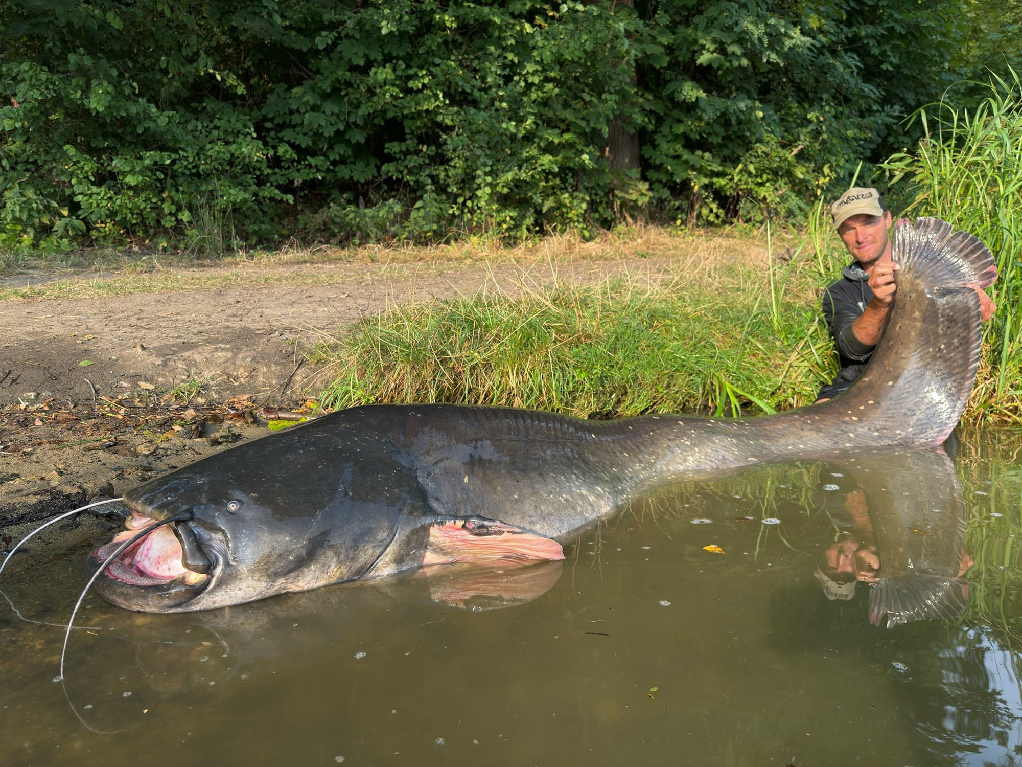 KING FISHER - Angler Who Netted Almost Three-Metre Monster Fish Now ...